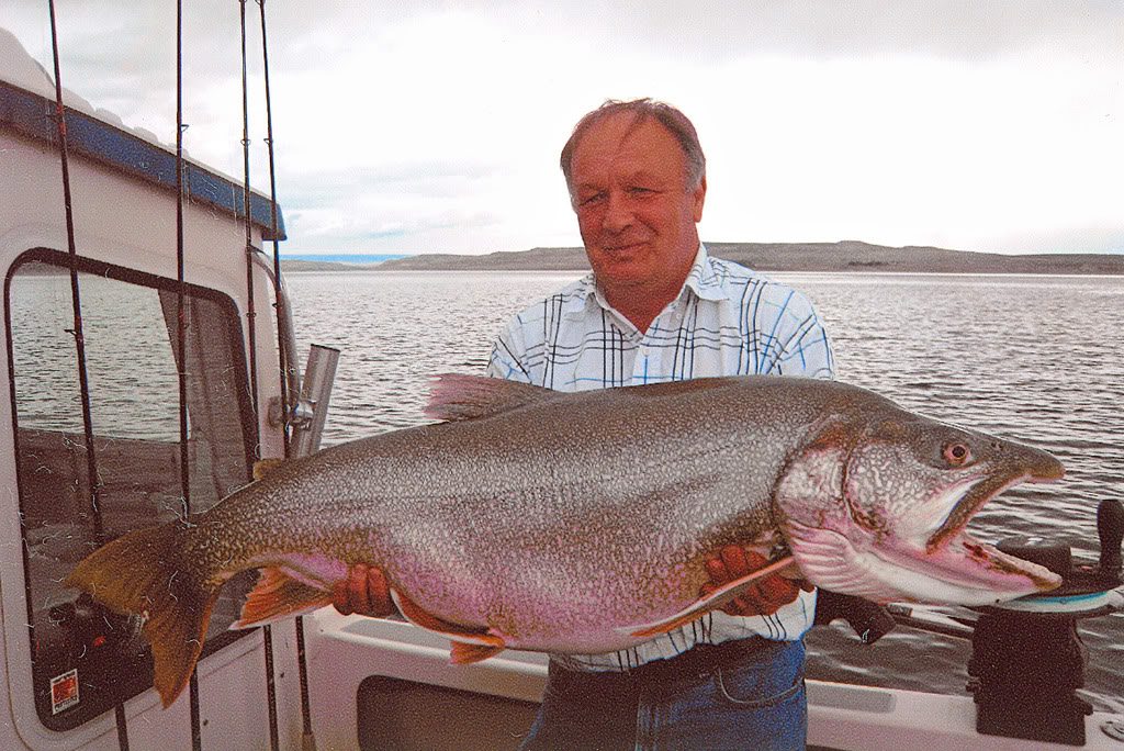 Whitey Tighty - Flashy Fish Lures
